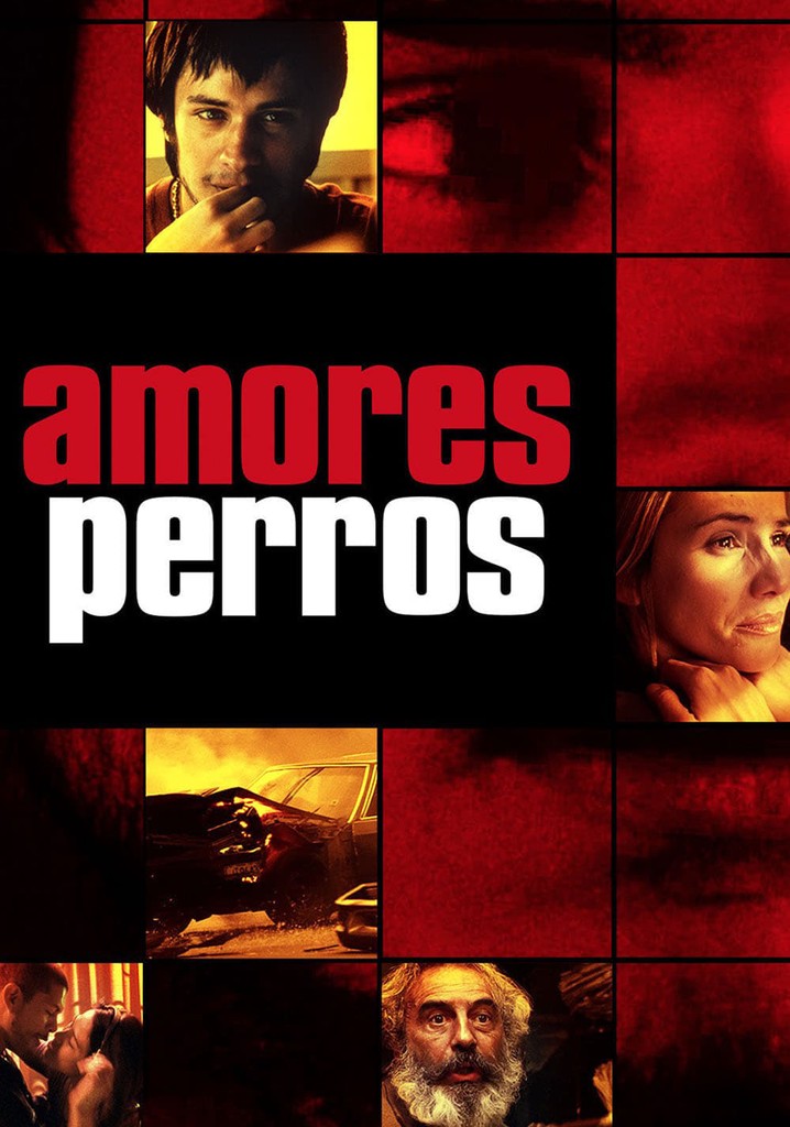 Amores Perros streaming: where to watch online?